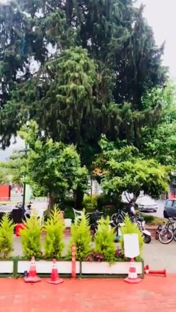 L’ancora Beach Hotel