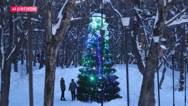 В КРАЕВОЙ СТОЛИЦЕ НАЧАЛСЯ МОНТАЖ НОВОГОДНИХ ЁЛОК • НОВОСТИ КАМЧАТКИ