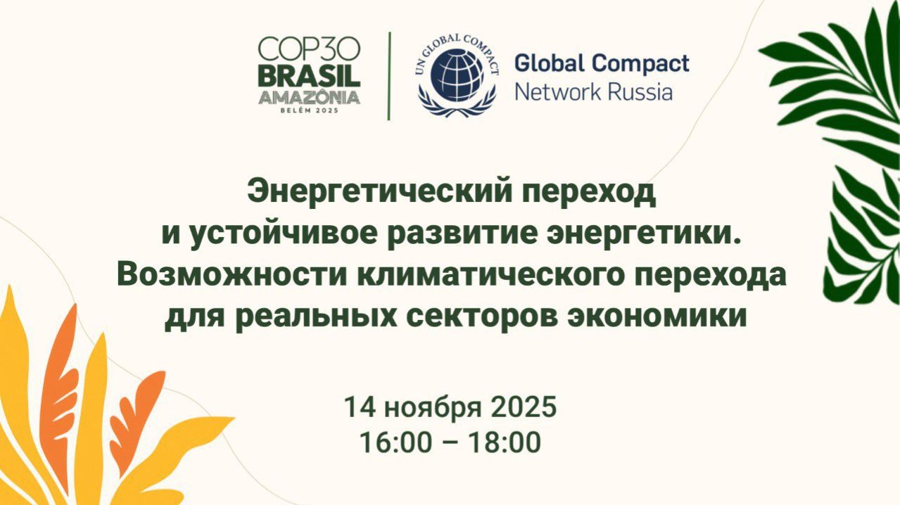 Энергетический переход и устойчивое развитие энергетики. Возможности климатического перехода для реа