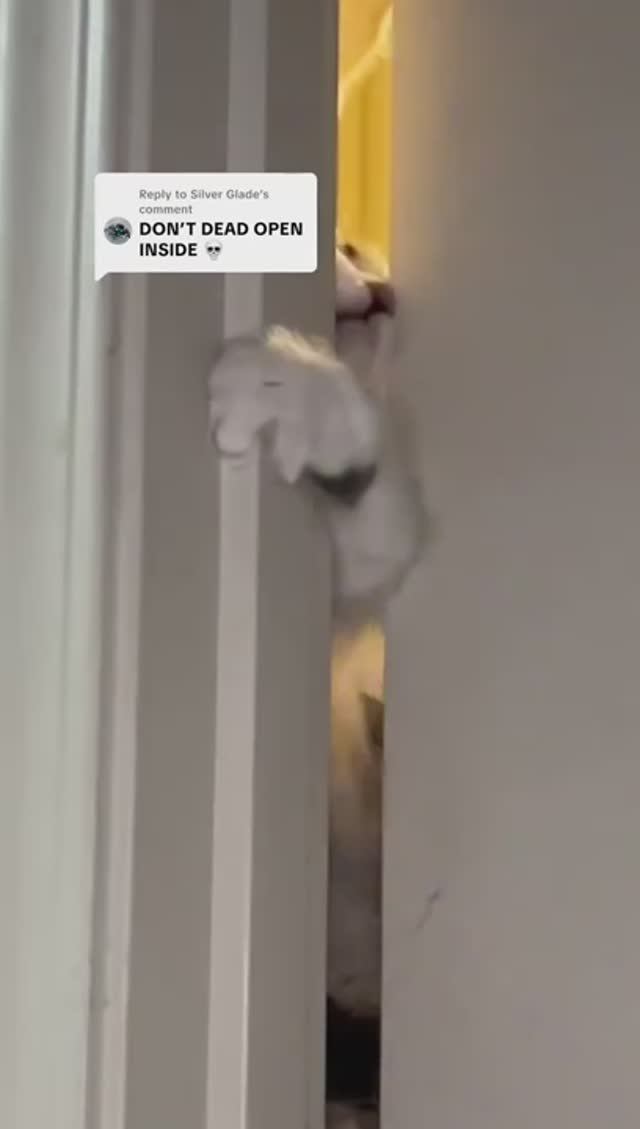 Зомби-апокалипсис