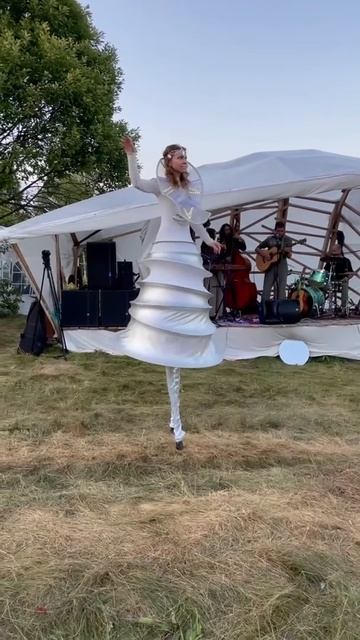 Световая ходулистка