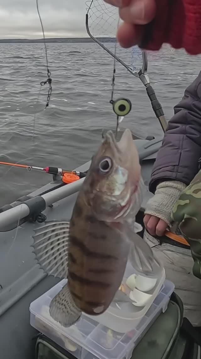 Примета работает!