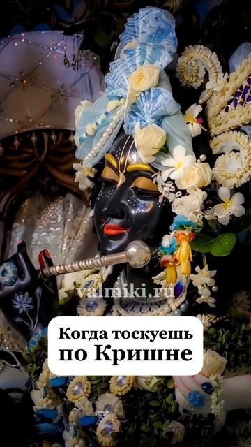 КОГДА ТОСКУЕШЬ ПО КРИШНЕ…😢