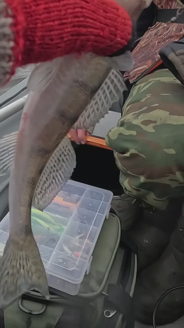 Первая рыбка!