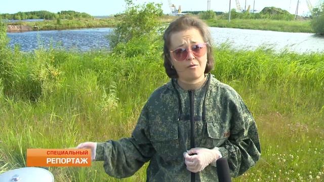 Поймать удачу на крючок