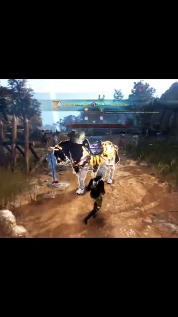 Максимально тайно и запретно_Идём!😁#vilmarionv #mmorpg #bdo #blackdesertonline #gaming #games #игры