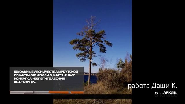 Старт конкурса «Берегите лесную красавицу» 12-11-2025