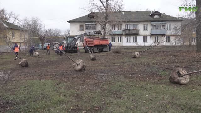 От центра до окраин: в Самаре высажено свыше 23 тысяч зеленых насаждений
