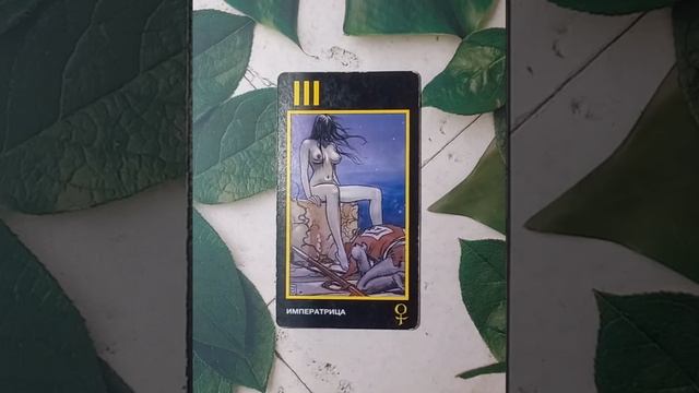 Для начинающих.Таро Манара.Старший аркан Императрица