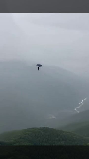 Летающая обезьяна