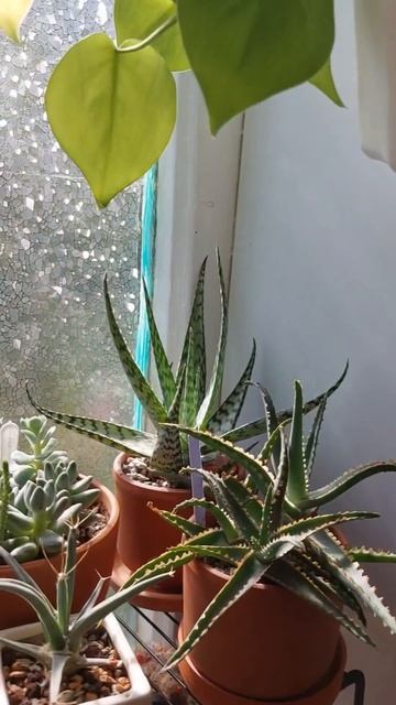 Яркого дня 🥰!