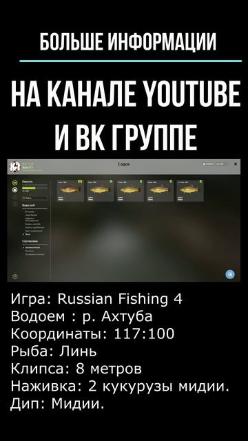 Трофейный Линь. Река Ахтуба. Russian Fishing 4. рр4. Русская рыбалка 4.