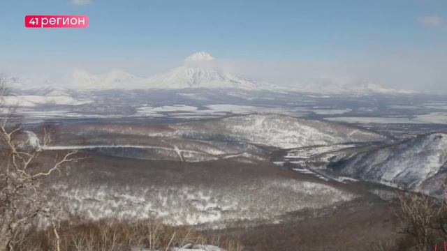В СИЛЕ ОСТАВИЛИ ПРИГОВОР ЭКС-ДИРЕКТОРУ СПОРТШКОЛЫ «МОРОЗНАЯ» • НОВОСТИ КАМЧАТКИ