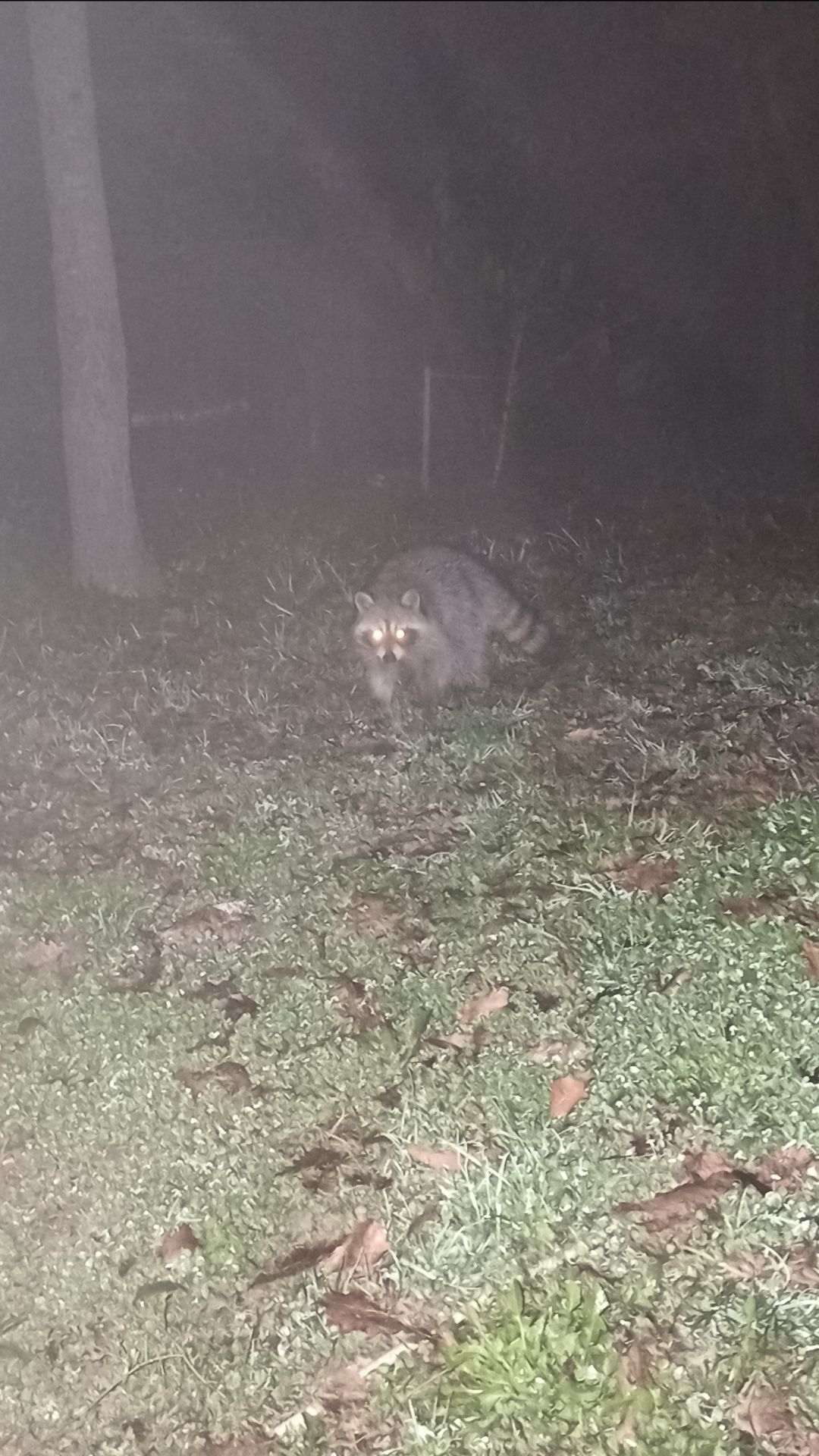 Сосед пришёл)