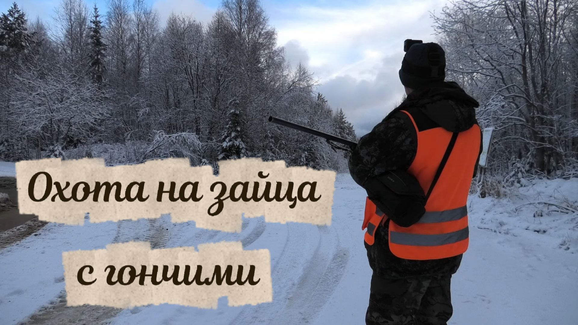 Охота на зайца с гончими