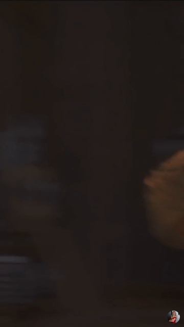 Кунг-Фу Арта