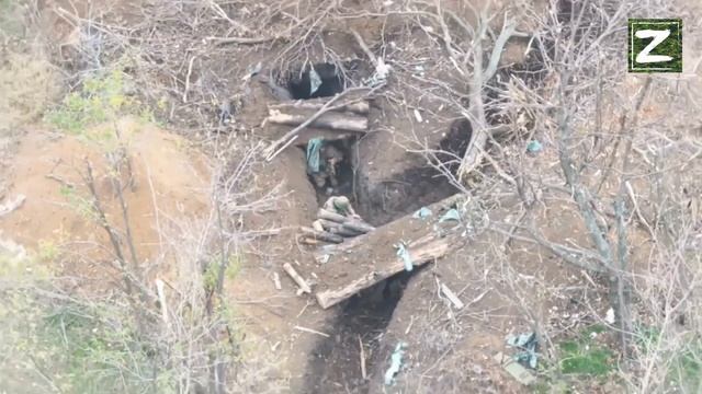 СВО ВСУ «успешно» бегут с позиций под Покровском бросая убитых побратимов.