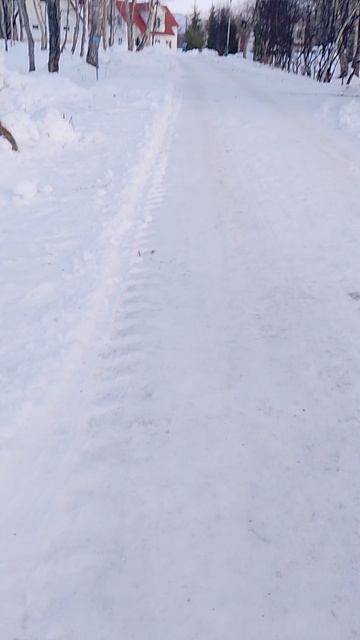 *супер монтаж!? Чудесный - остров в: 15.11.2025 1 серия