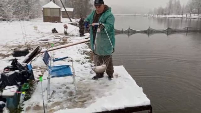 Светлые Горы Форель3 15.11.2025г.