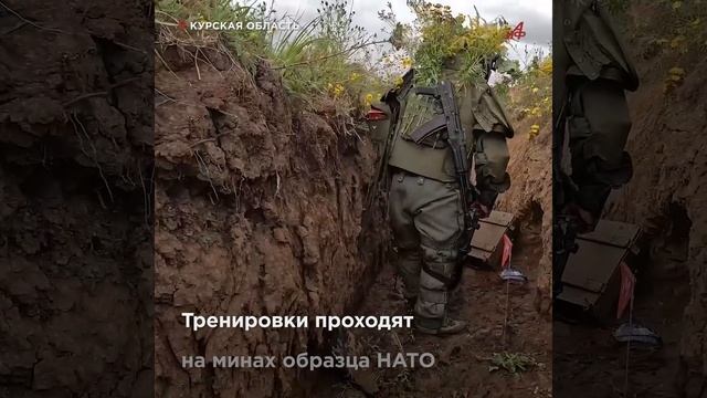 Отважные воины Ким Чен Ына: сапёры из КНДР с риском для жизни очищают курскую землю от мин