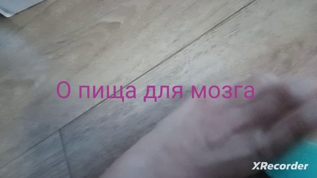 глупые котята # 16