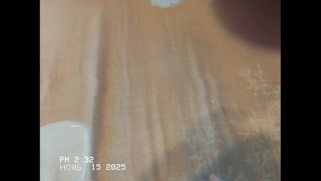 Машинки 3 серия: АМОНГ АС #3