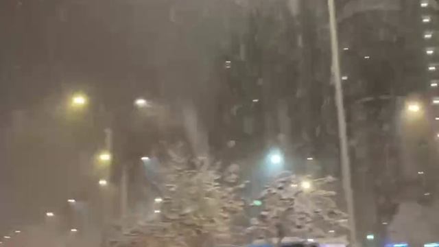 Петербург уже засыпало снегом!