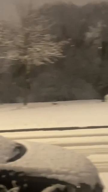 Петербург уже засыпало снегом!