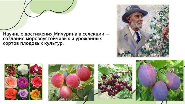 Дорошенко Полина Владимировна, ГБОУ "ШКОЛА №30 г.о.Донецк"