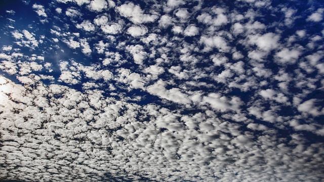 Релакс музыка. Спокойная, успокаивающая музыка для души, сна | Ecveezer - Autumn Love (New Version)