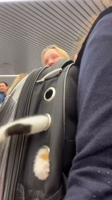 Транспортировка особо буйного пассажира