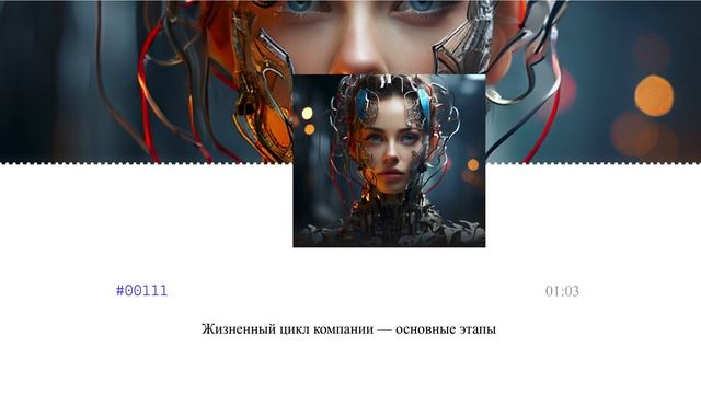 Жизненный цикл компании — основные этапы