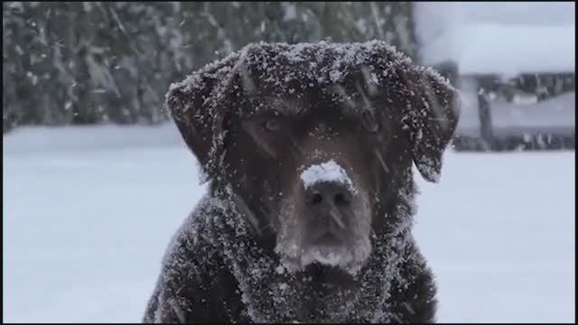 Ой, мороз-мороз