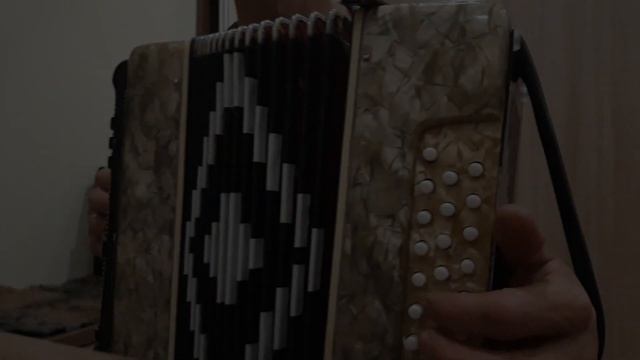 разбор на гармони БУРАН МИКЭН гармунда разбор