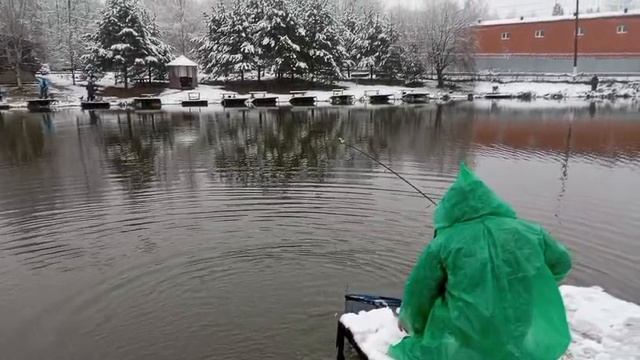 Светлые Горы Форель4 15.11.2025г.