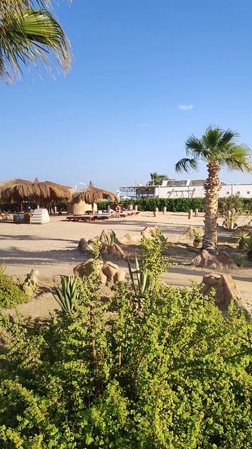 Египет, неделя активного отдыха