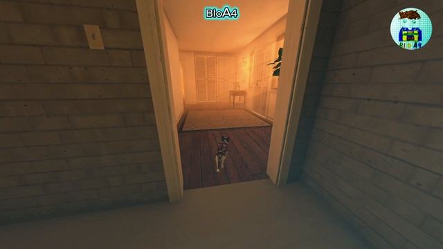 Copycat. 1 Только игровой процесс. Без комментария.