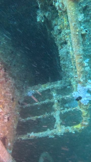 дайвинг в Дубае, рэк-дайвинг в Дубае, дайвинг в Эмиратах