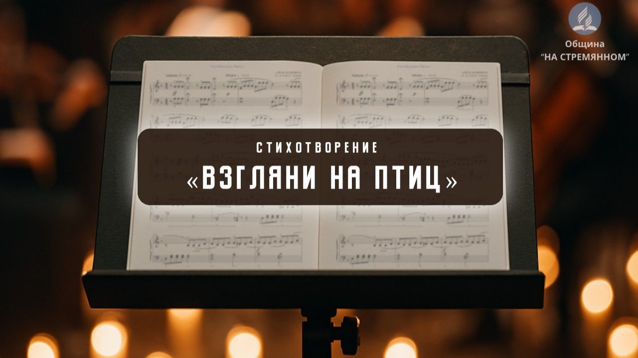 Стихотворение "Взгляни на птиц" | Христианские стихи | Адвентисты Москвы |