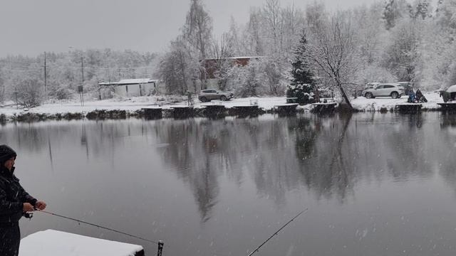 Светлые Горы Форель 15.11.2025г.