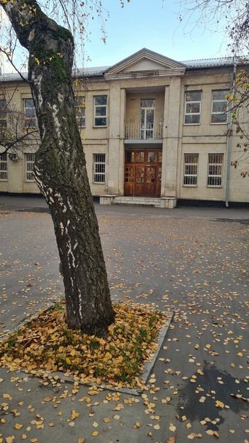 В Свиблове осень 2025