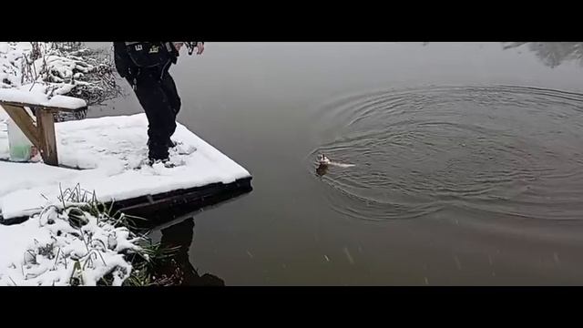 Светлые Горы Щука 15.11.2025г.