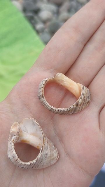 На пляже в Цихисдзири (Грузия) 13.07.2025