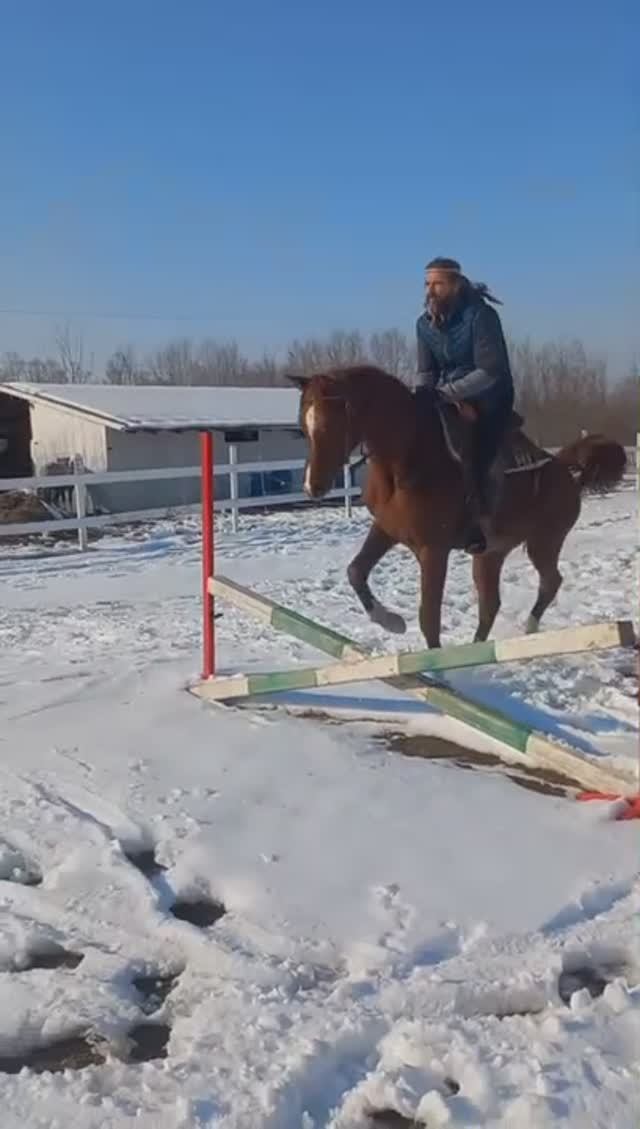 Наш  конный клуб " Отрада"