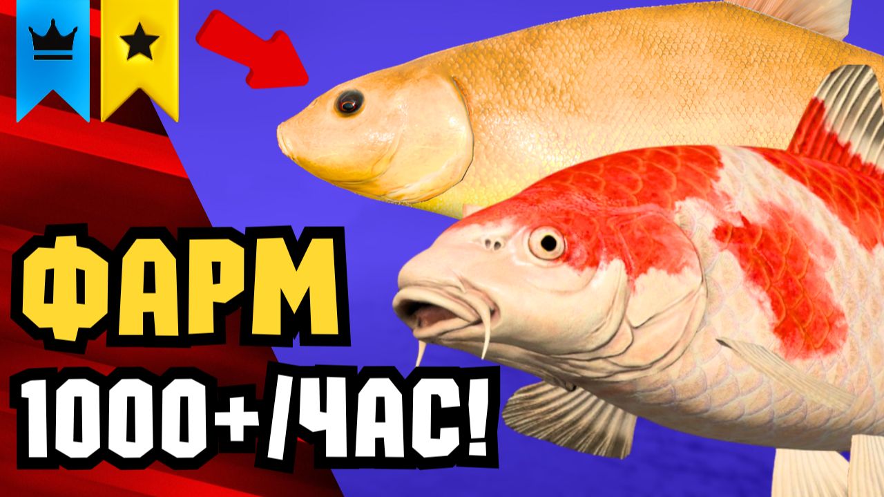 🤑 НОВЫЕ ТОЧКИ ФАРМА РР4! Раздача ТРОФОВ • СТАРЫЙ ОСТРОГ • МЕДНОЕ