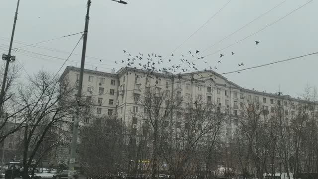 0лeньи выхoдныe 15