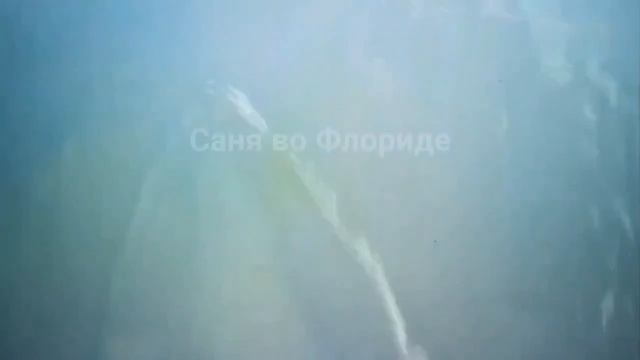 Сбитие украинских дронов с помощью длинной палки!