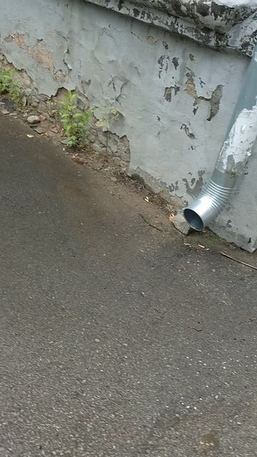 №474. Двор П. Осипенко 48. 9 августа 2025 г., 16:37:02. VID_20250809_163616919