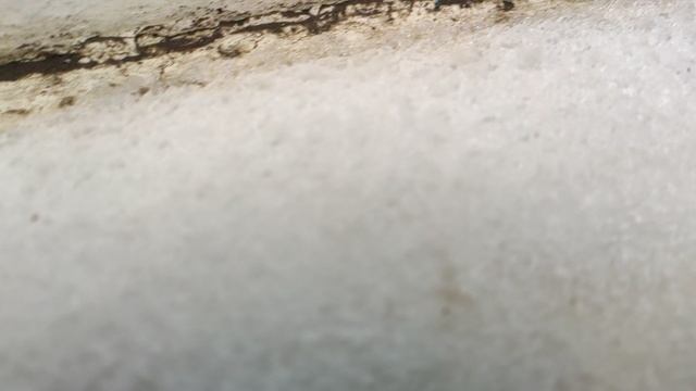 Один из дней города Евпатории | 8 февраля 2021 г | Крым | ХАН БАТОН XAH 6ATOH |  VID_20210208_133057