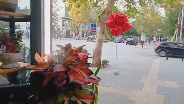 Маша Адана (Nazlı) - Жизнь с погодками Первая обувь Покупки на Чёрную пятницу 16.11.2025